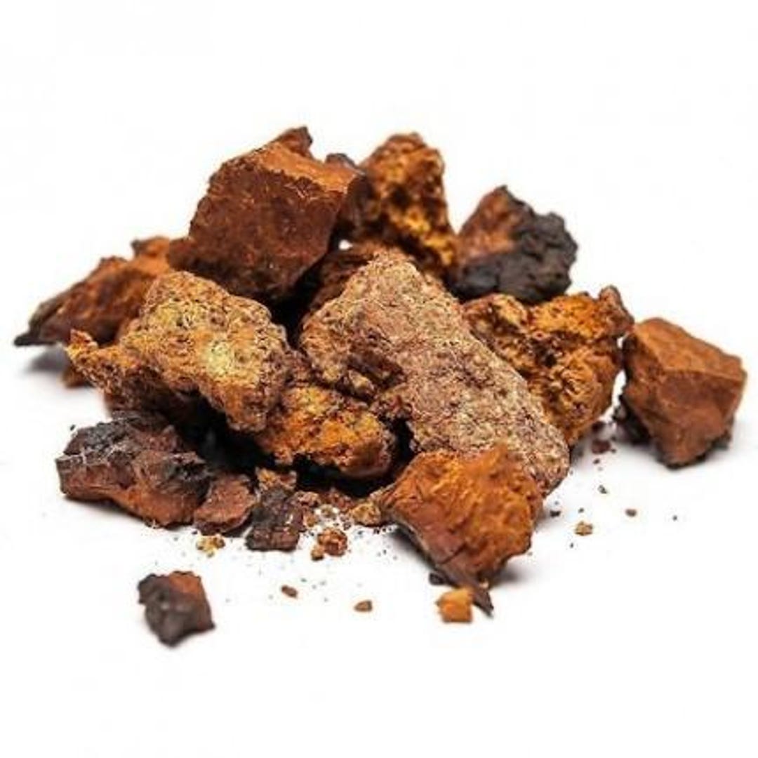 Wholesale Available Chaga Mushroom Inonotus Obliquus Dried Medicinal ...