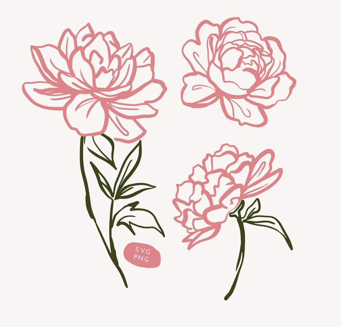 Peonies SVG Bundle, Floral Lineart (digital Download) - Etsy
