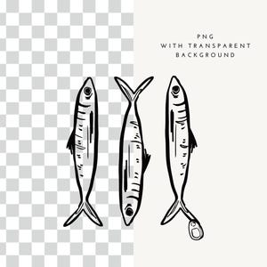 Sardine SVG Clipart, Fisherman Astetic Tshirt, Sardines Social Club ...