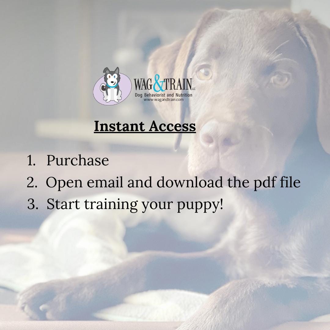 Printable Puppy Potty Training Schedule & Guide - Etsy