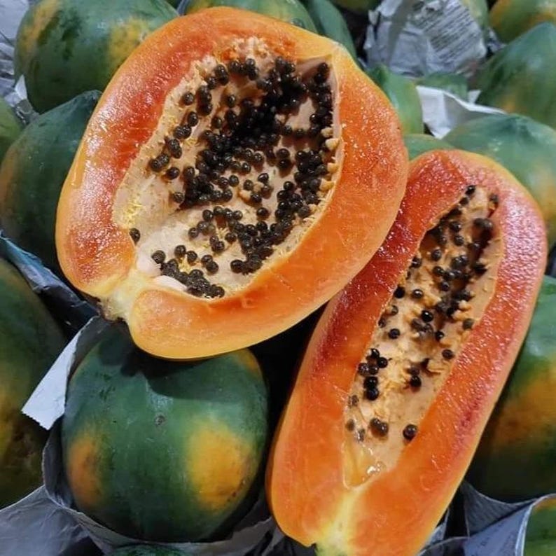 Planting Papaya Seeds is a Simple Process, but It Requires the Right ...
