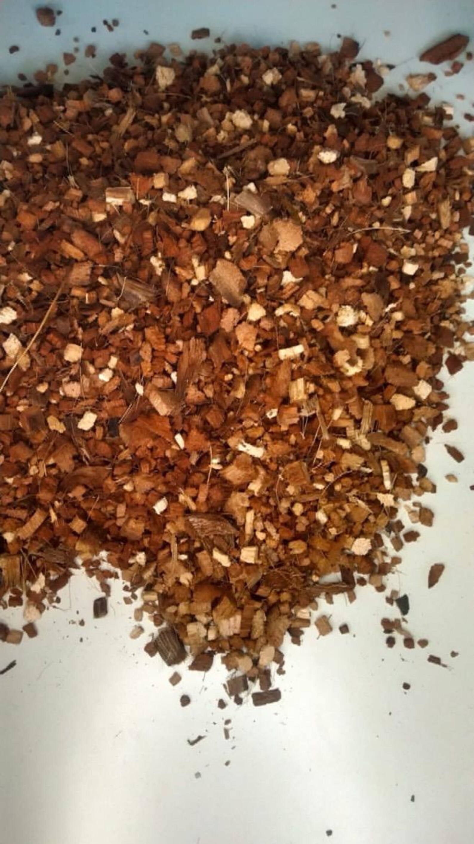 Titile-100g Natural Organic Garden Coconut Husk Chips/ Coco Chips - Etsy