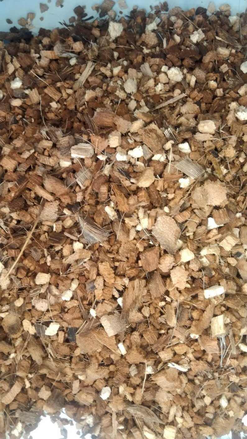 Titile-100g Natural Organic Garden Coconut Husk Chips/ Coco Chips - Etsy