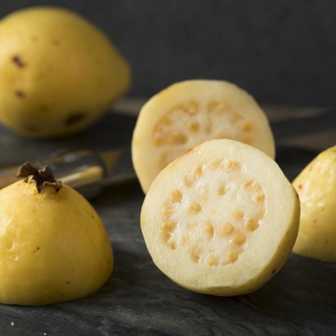 Very Rare Asian Gold Guava Tree 15+ Seeds (psidium Guajava) - Etsy