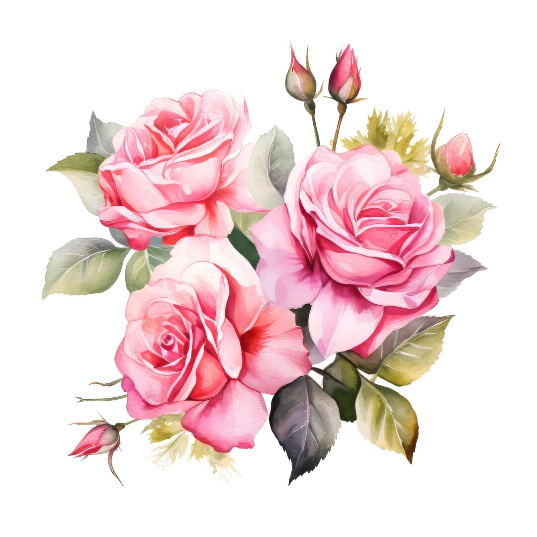 26 PNG Pink Rose Clipart Bundle ,rose Clipart,dijital Download Digital ...