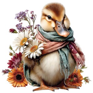 Easter Ducks Illustration Set: Spring Holiday Animal Art 34 PNG - Etsy