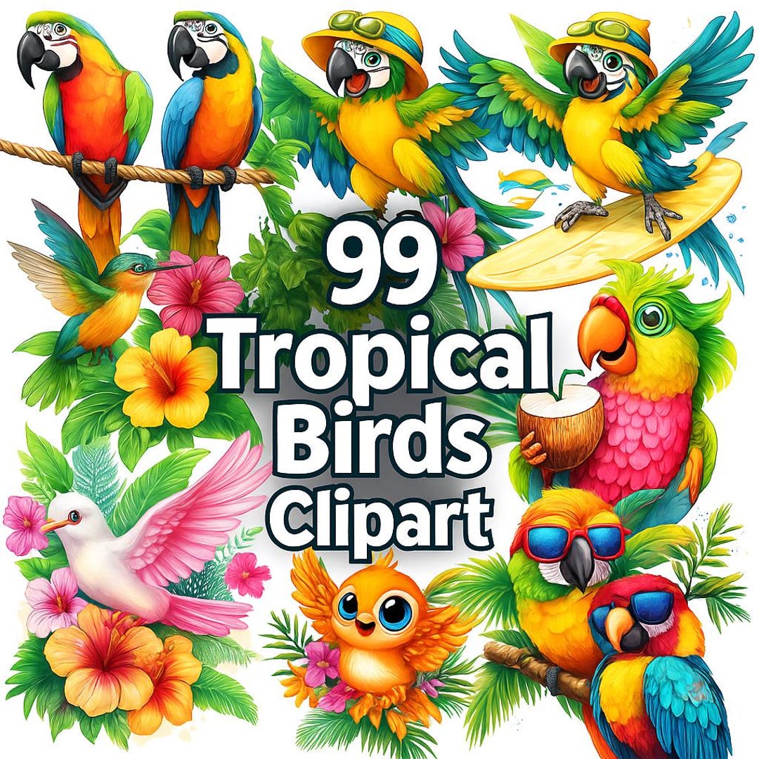 99 Png Tropical Birds Clipart Watercolor Bird Bundle, Instant Digital ...