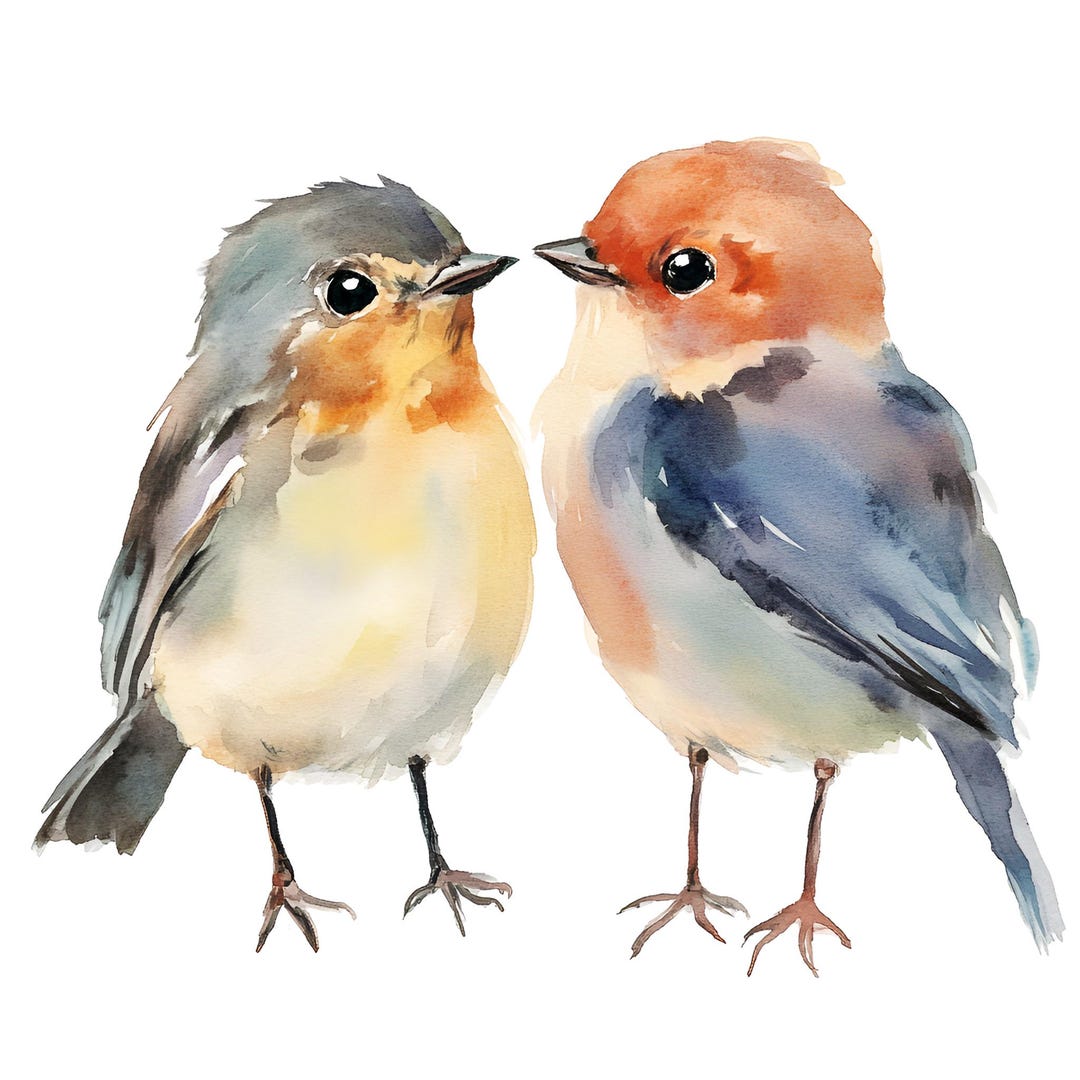 35 PNG Watercolor Baby Birds Clipart Download,transparent Background ...