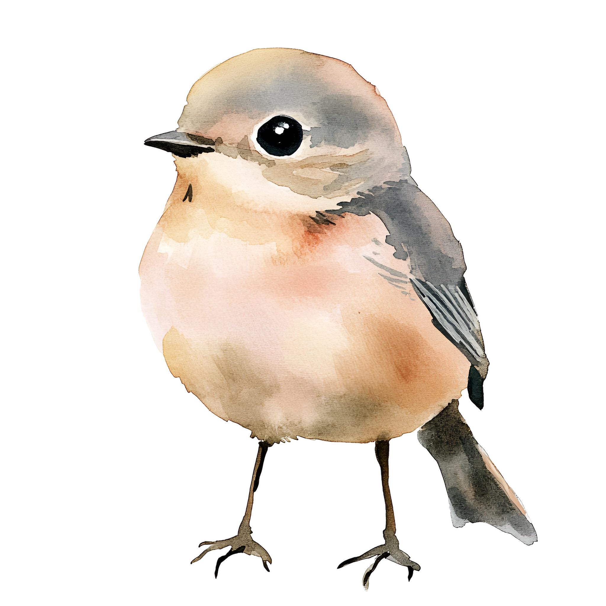 35 PNG Watercolor Baby Birds Clipart Download,transparent Background ...