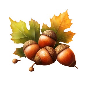 Fall Clipart Bundle: Autumn-themed Watercolor PNG Images (digital ...