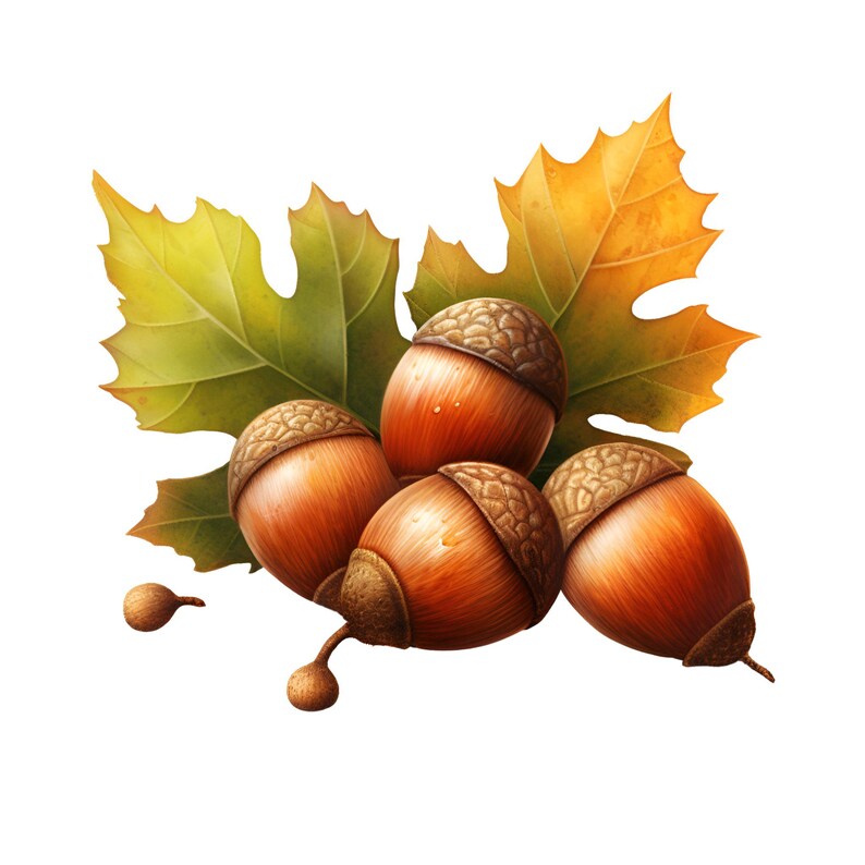 Fall Clipart Bundle: Autumn-themed Watercolor PNG Images (digital ...