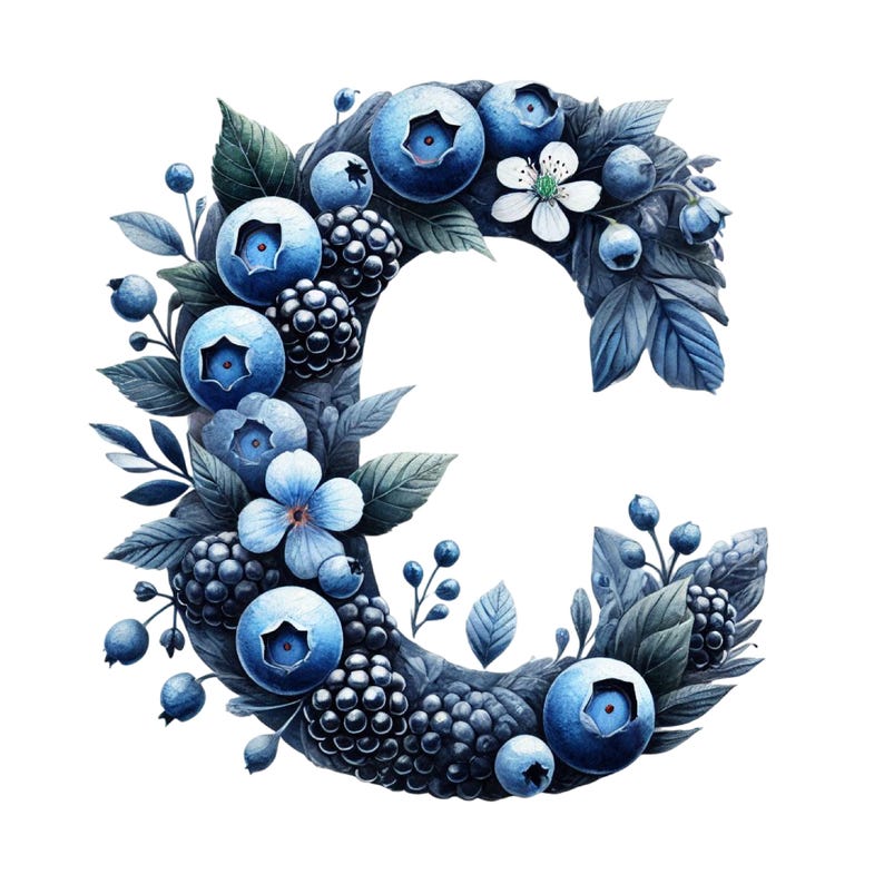 Spring Blueberry Alphabet Clipart – Botanical Letter PNG Set (digital ...
