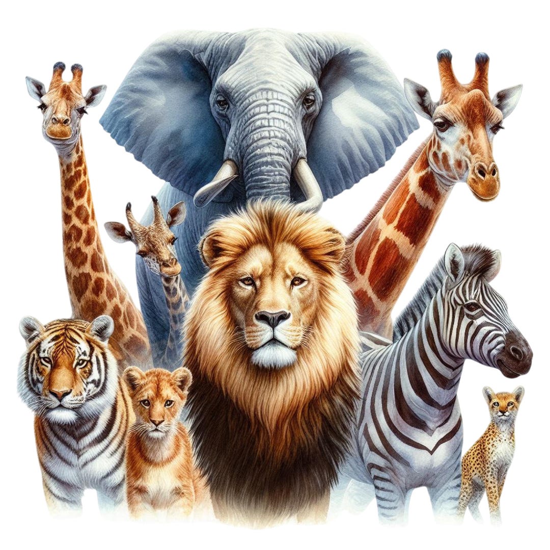 Wild Animals of Africa PNG Clipart Bundle Digital Download 32 Png Set ...