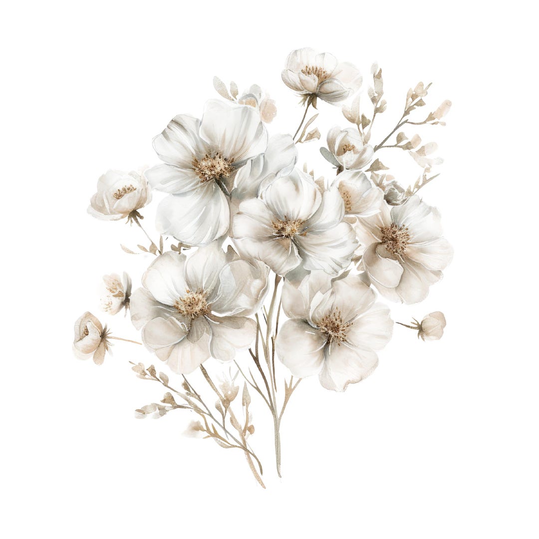 10 PNG White Rustic Wedding Flower Clipart,commercial Use,watercolor ...