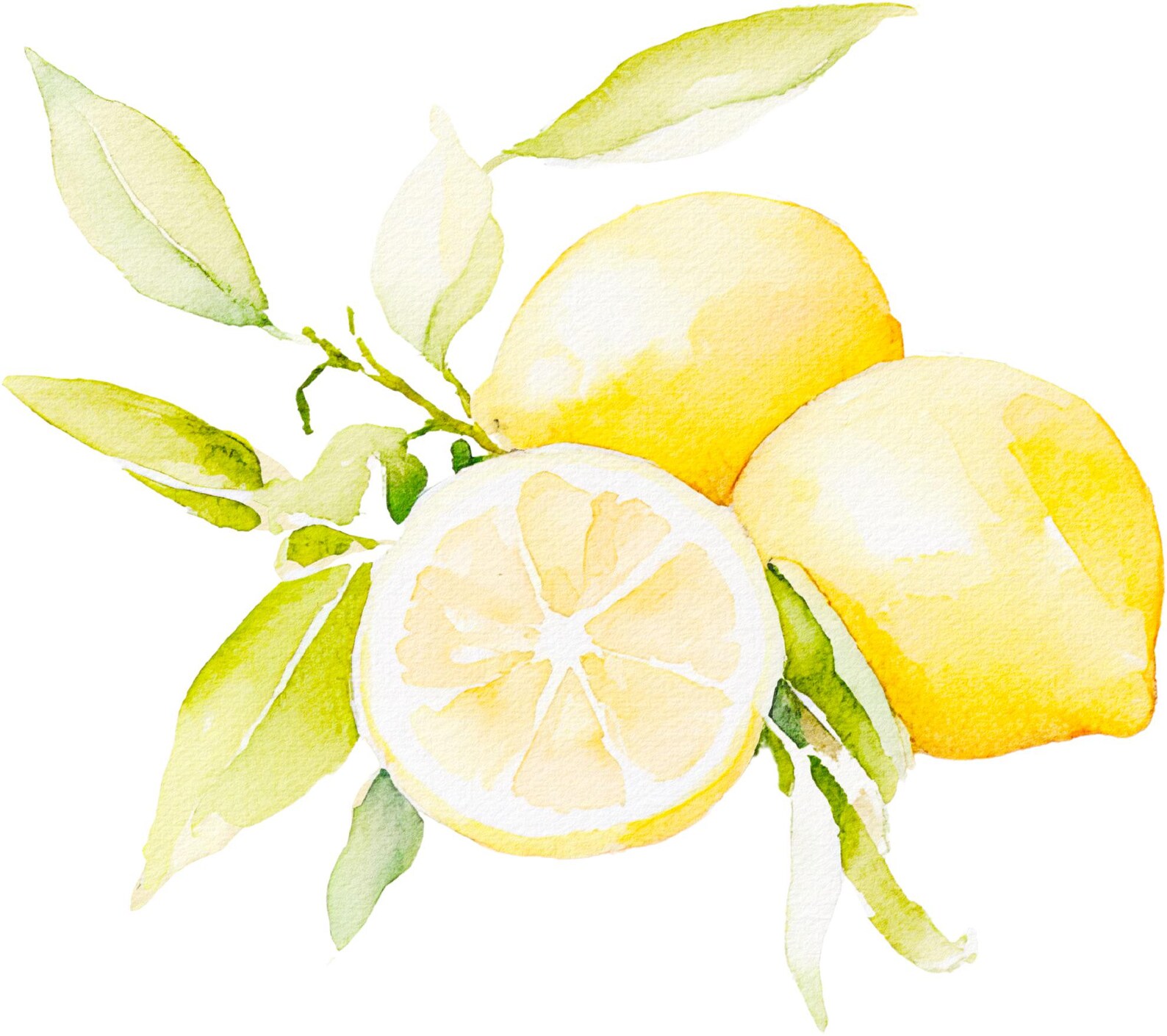 33 PNG Lemon Clipart Citrus Watercolor Set,digital Clipart,png Clipart ...