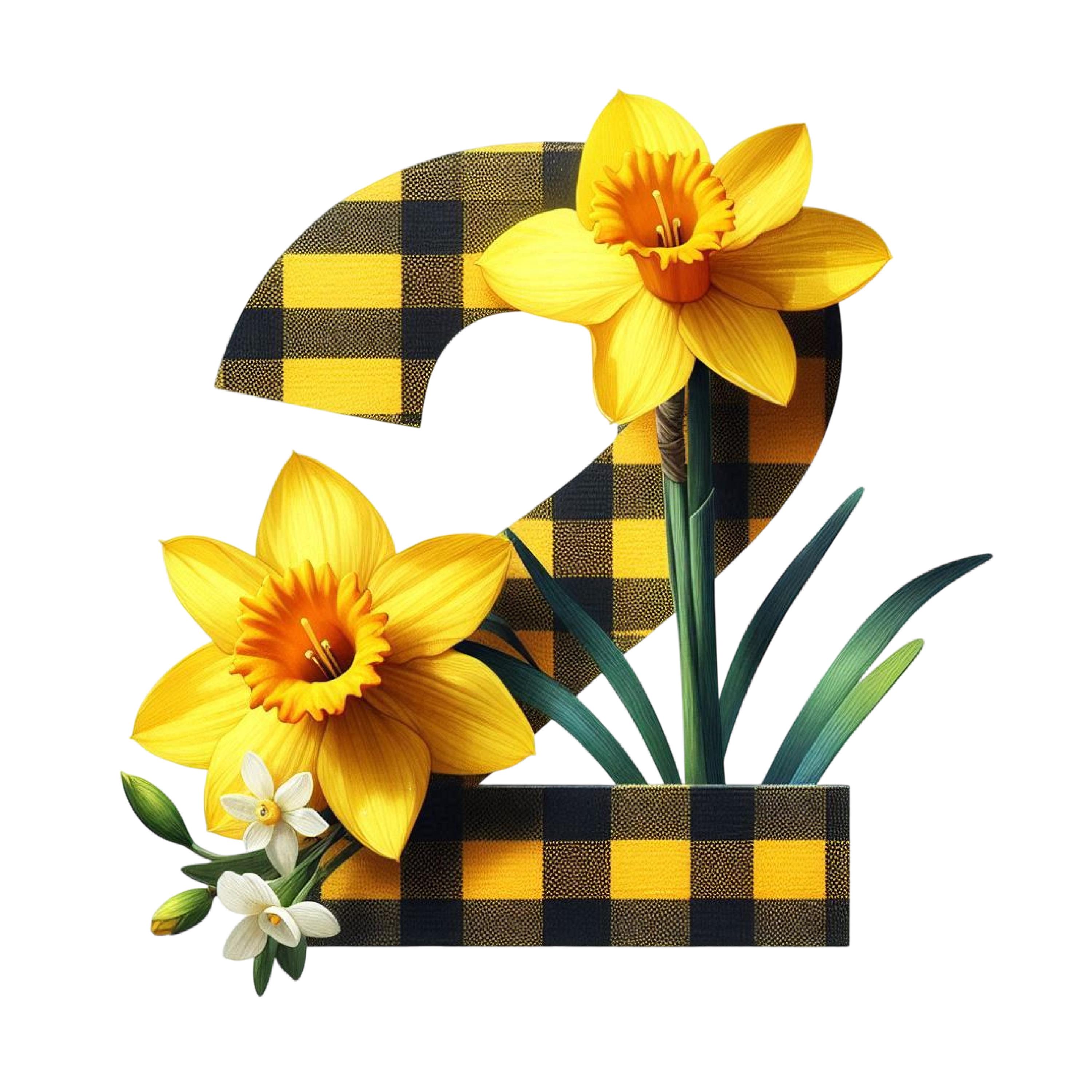36 PNG Daffodil Spring Alphabet Sublimation,highresolution Images ...