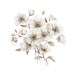 10 PNG White Rustic Wedding Flower Clipart,commercial Use,watercolor ...