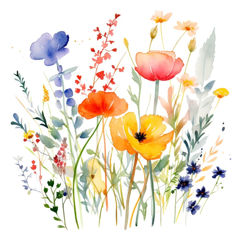 10 PNG Watercolor Wildflowers PNG Clipart, Dijital Download,digital ...