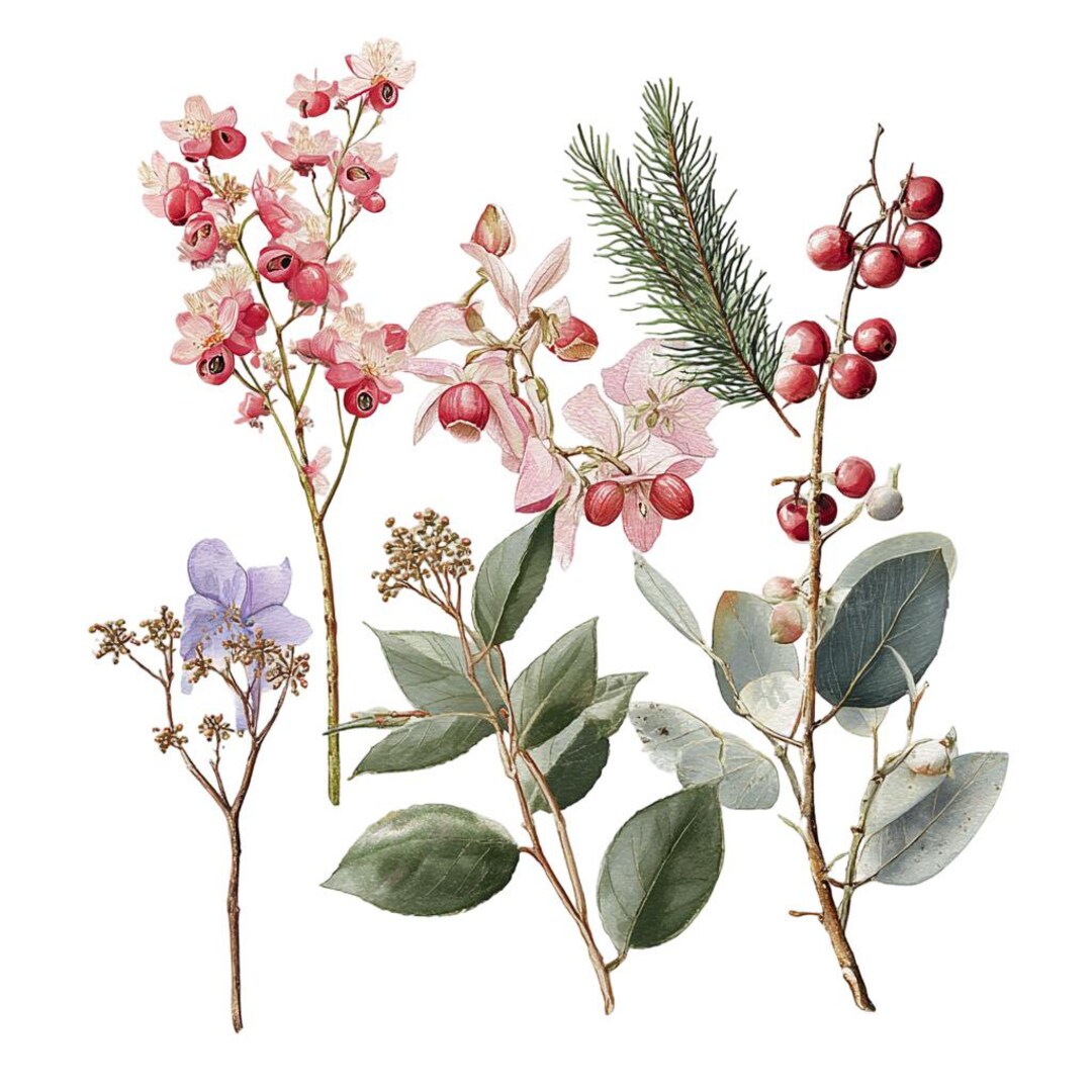 Christmas Wildflowers Clipart: Holiday Floral PNG Images (digital ...