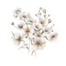 10 PNG White Rustic Wedding Flower Clipart,commercial Use,watercolor ...