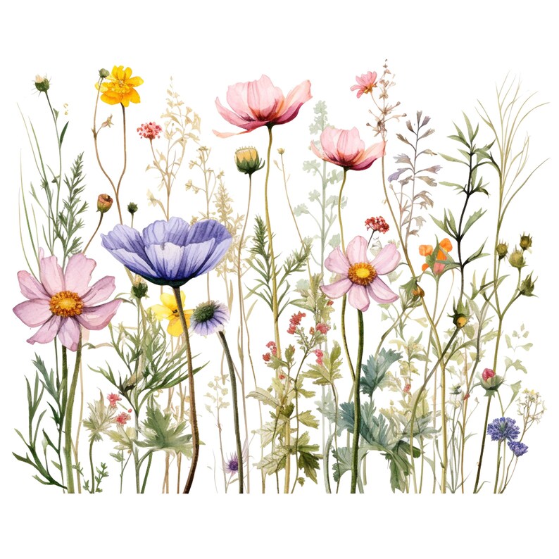 10 PNG Watercolor Wildflowers PNG Clipart, Dijital Download,digital ...