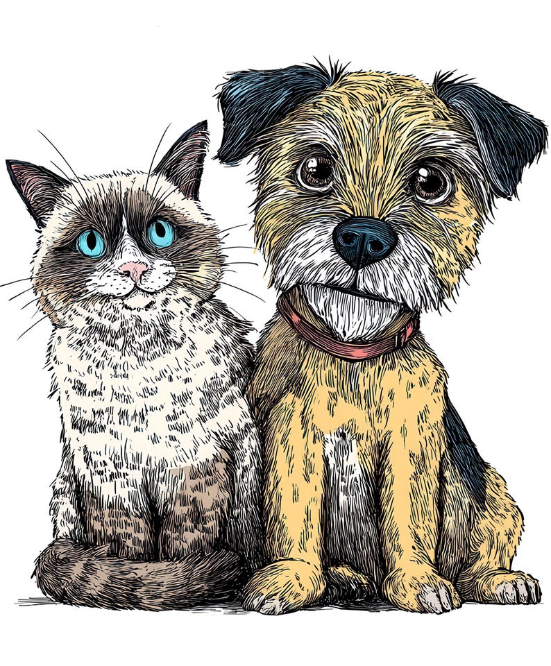 30 PNG Quirky Dogs & Cats Illustrations,transparent PNG Files,digital ...