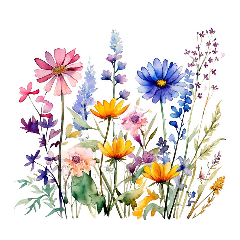 10 PNG Watercolor Wildflowers PNG Clipart, Dijital Download,digital ...