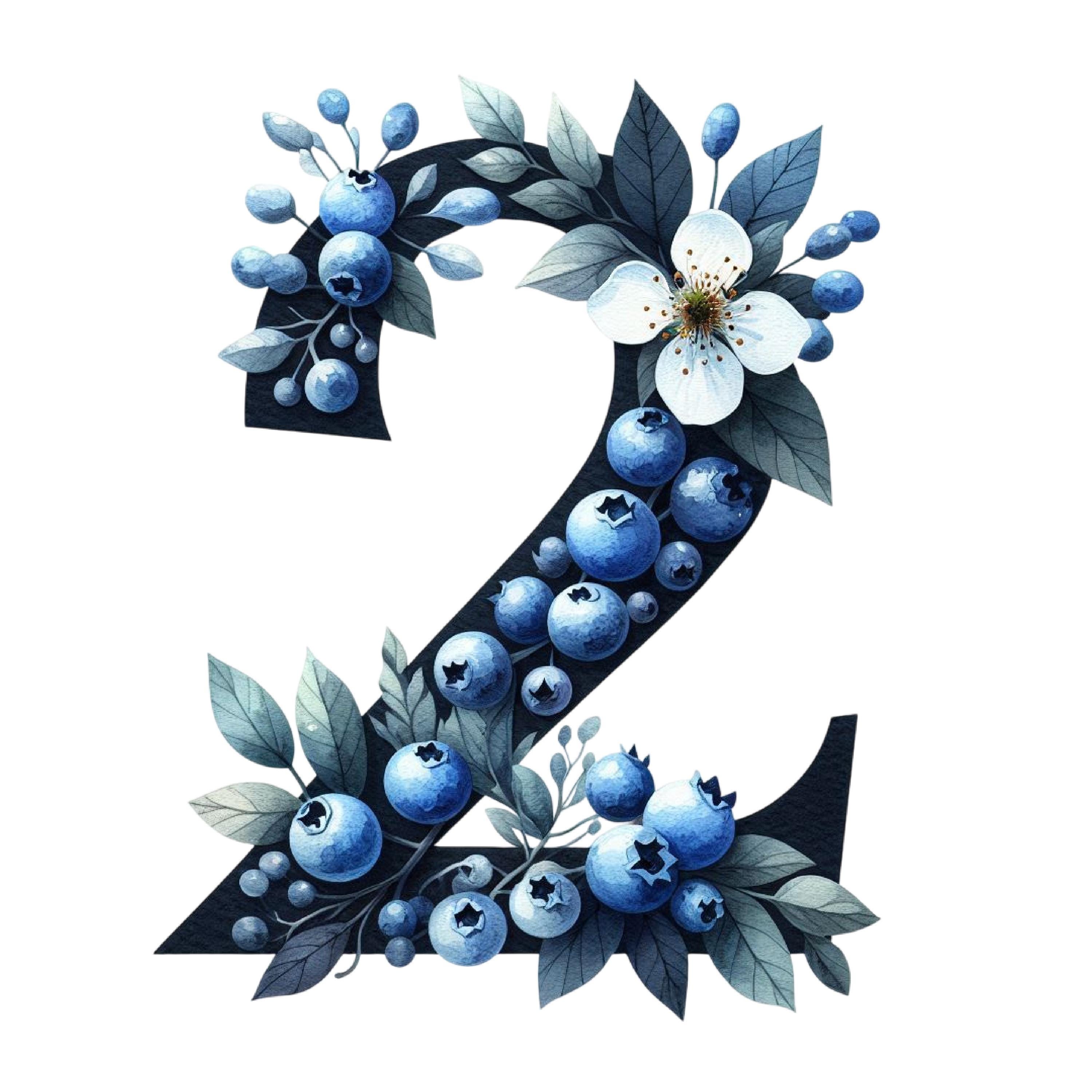 Spring Blueberry Alphabet Clipart – Botanical Letter PNG Set (digital ...