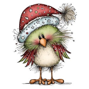 Whimsical Fluffy Christmas Birds Clipart – Cozy Winter PNG Set (instant ...