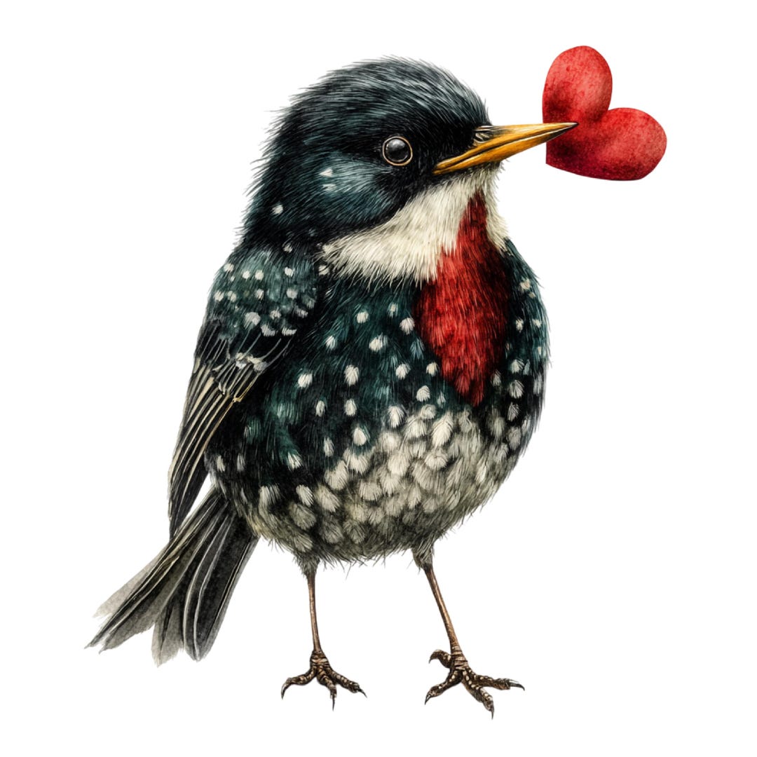 Quirky Valentine Birds Clipart – Cute Love PNG Set (instant Download ...