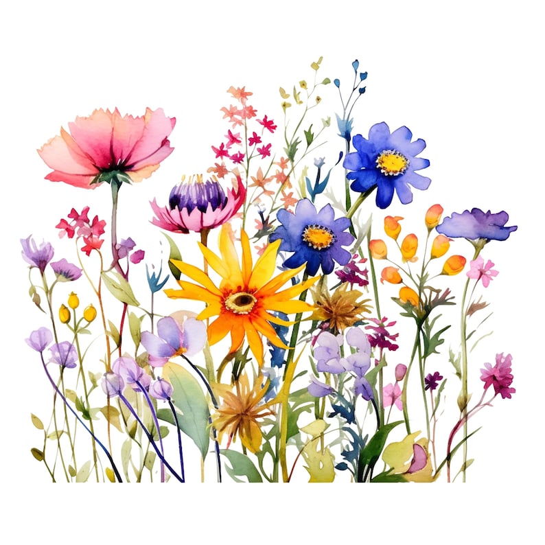 10 PNG Watercolor Wildflowers PNG Clipart, Dijital Download,digital ...