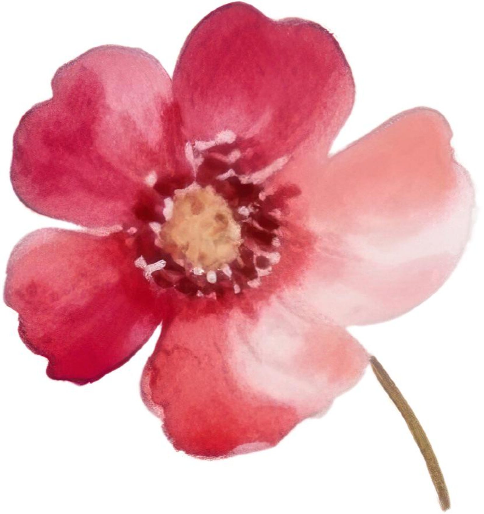 10 PNG Watercolor Red Flowers Clipart,digital Clipart,png Clipart ...