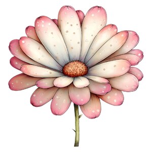 Spring Daisy Flower Clipart Set: Botanical Illustration Bundle 43 PNG ...