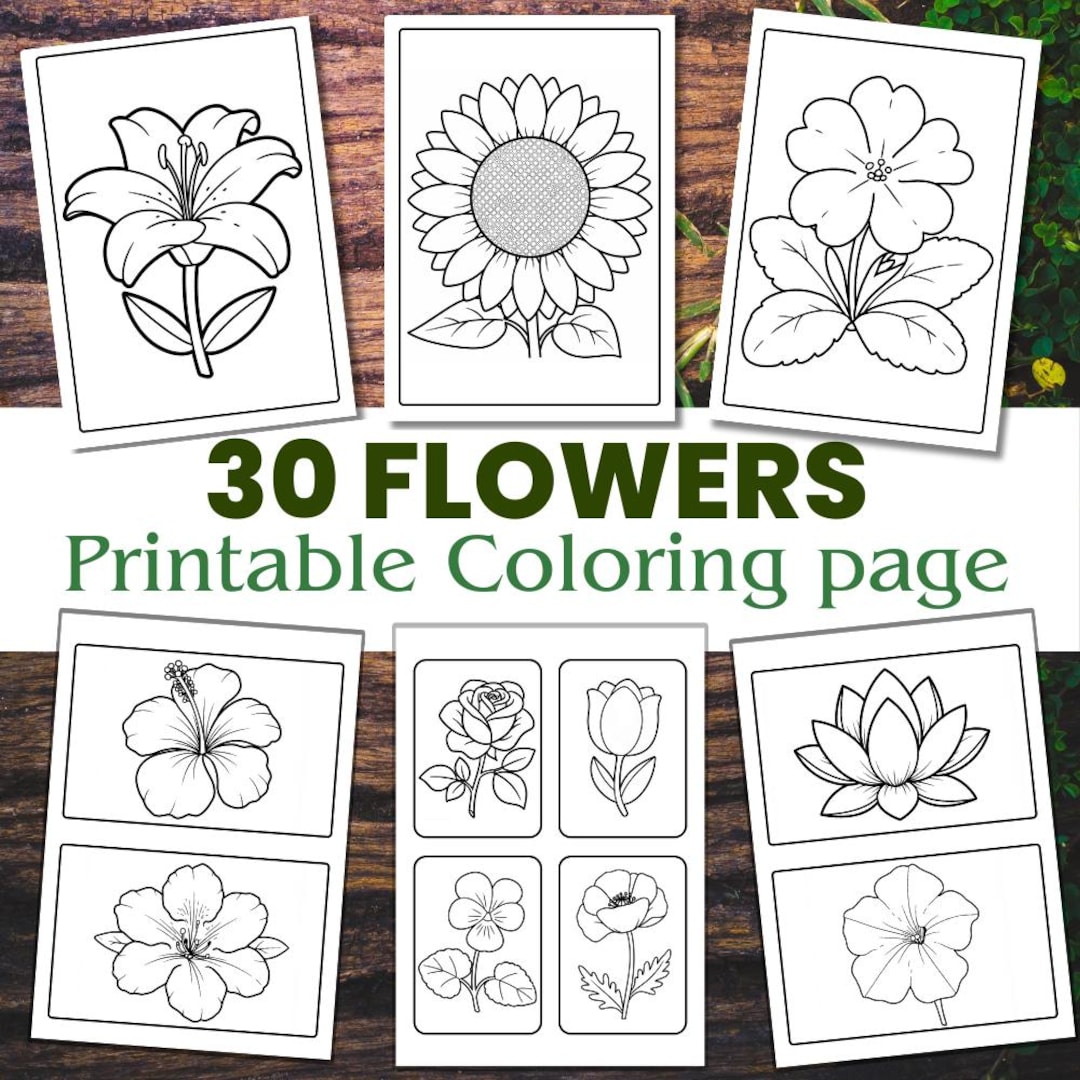 Bold and Easy Coloring Pages, Adult and Kids Coloring, Flowers Coloring ...