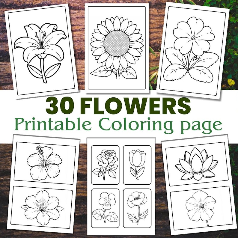 Bold and Easy Coloring Pages, Adult and Kids Coloring, Flowers Coloring ...