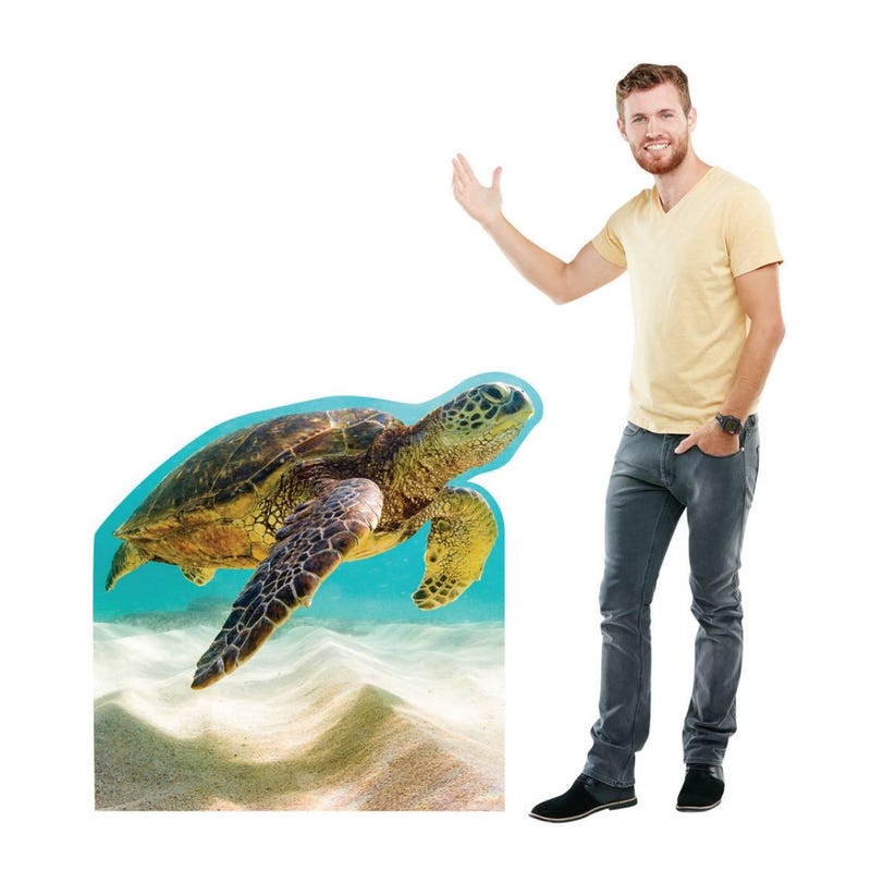 Cardboard Ocean Animals - Etsy