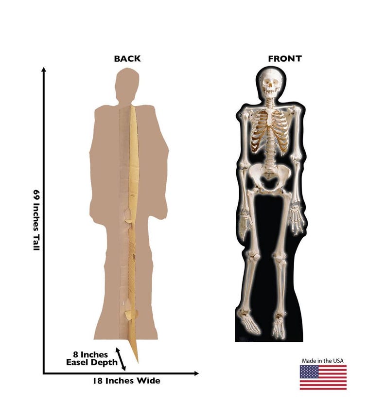 The Skeleton Cardboard Cutout, Life Size Skeleton Standee, Halloween ...