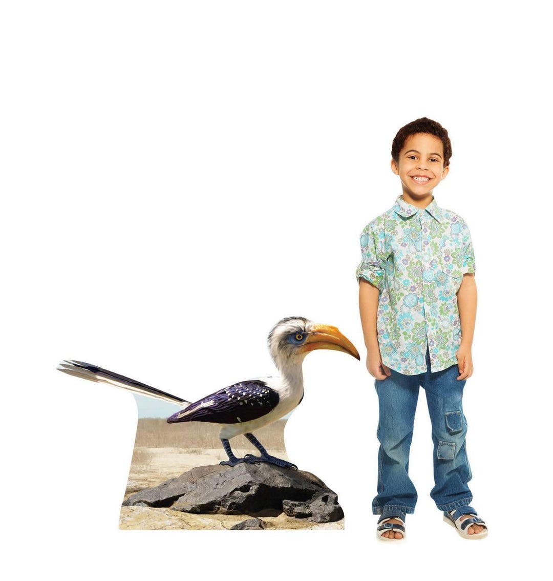 Zazu Life Size Cardboard Cutout, Life-size Bird Standee, Lion King ...