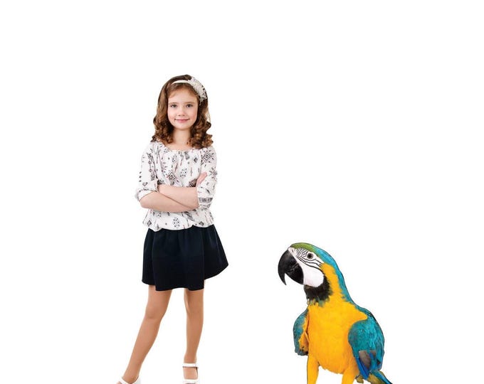 Life-size Parrot Cardboard Cutout, Colorful Bird Party Decoration ...