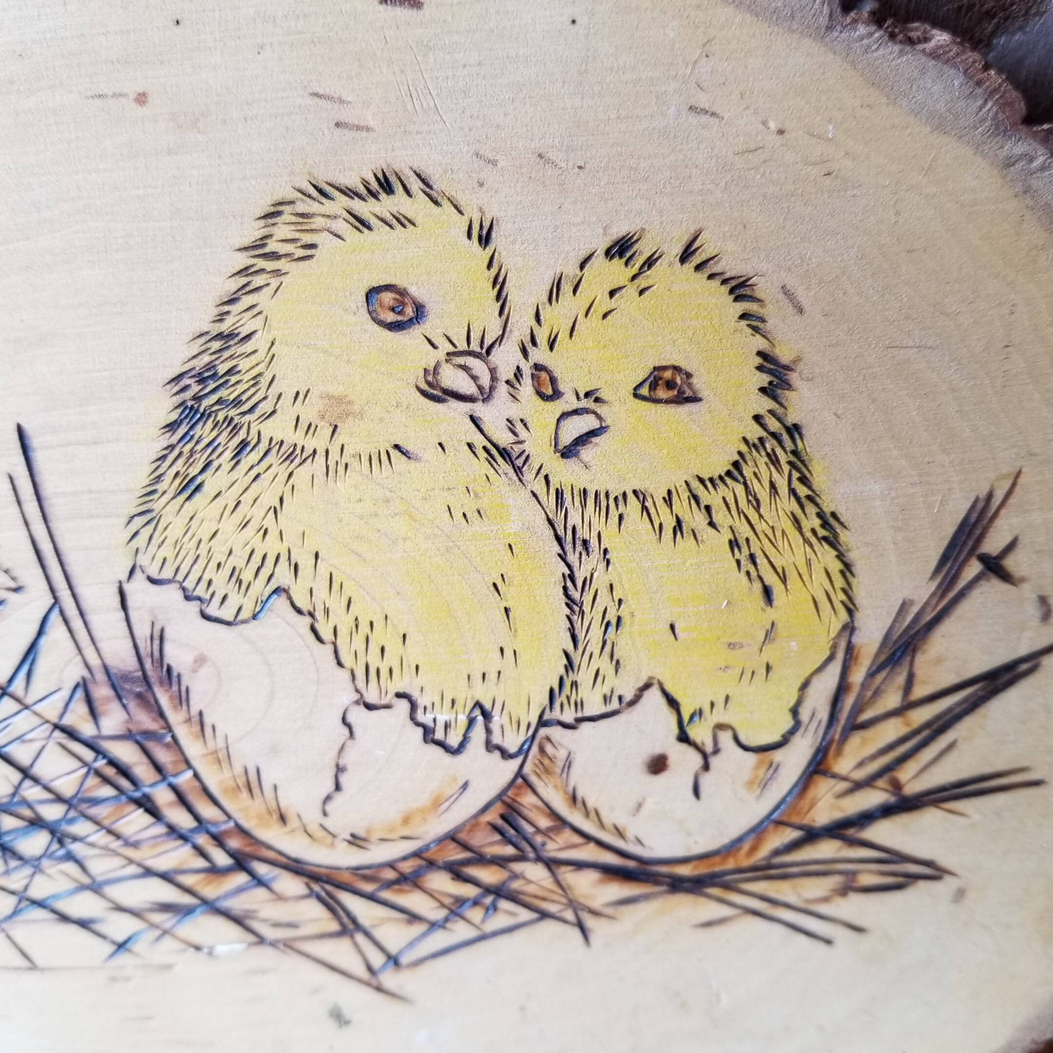 Vintage Pyrography Oval Plaque Chicks on a Nest Newly Hatched Natural ...