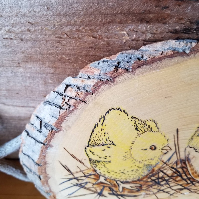 Vintage Pyrography Oval Plaque Chicks on a Nest Newly Hatched Natural ...