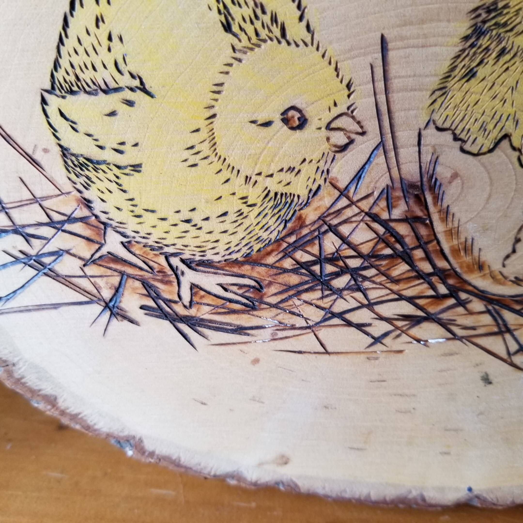 Vintage Pyrography Oval Plaque Chicks on a Nest Newly Hatched Natural ...