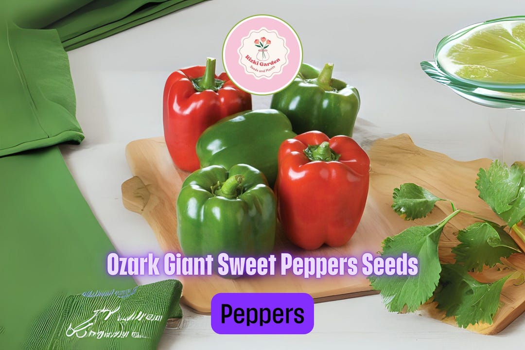 30 Ozark Giant Sweet Pepper Seeds | Large Heirloom Bell Peppers | Crisp ...