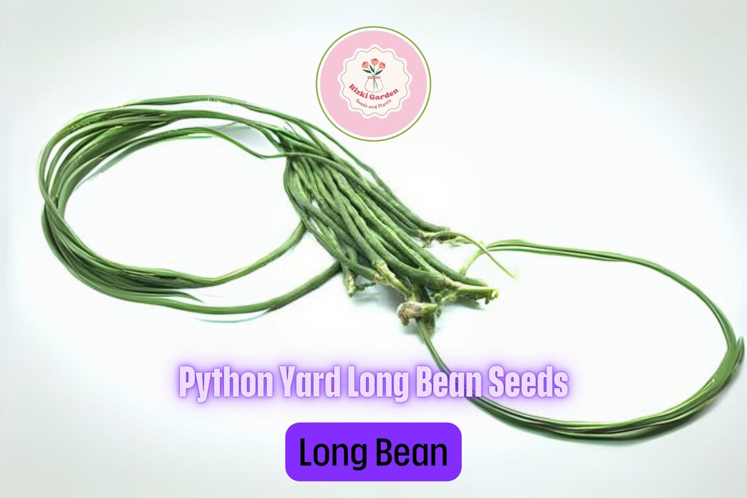 Python Yard Long Bean Seeds – 20 Seeds for Planting – Extra-long Green ...