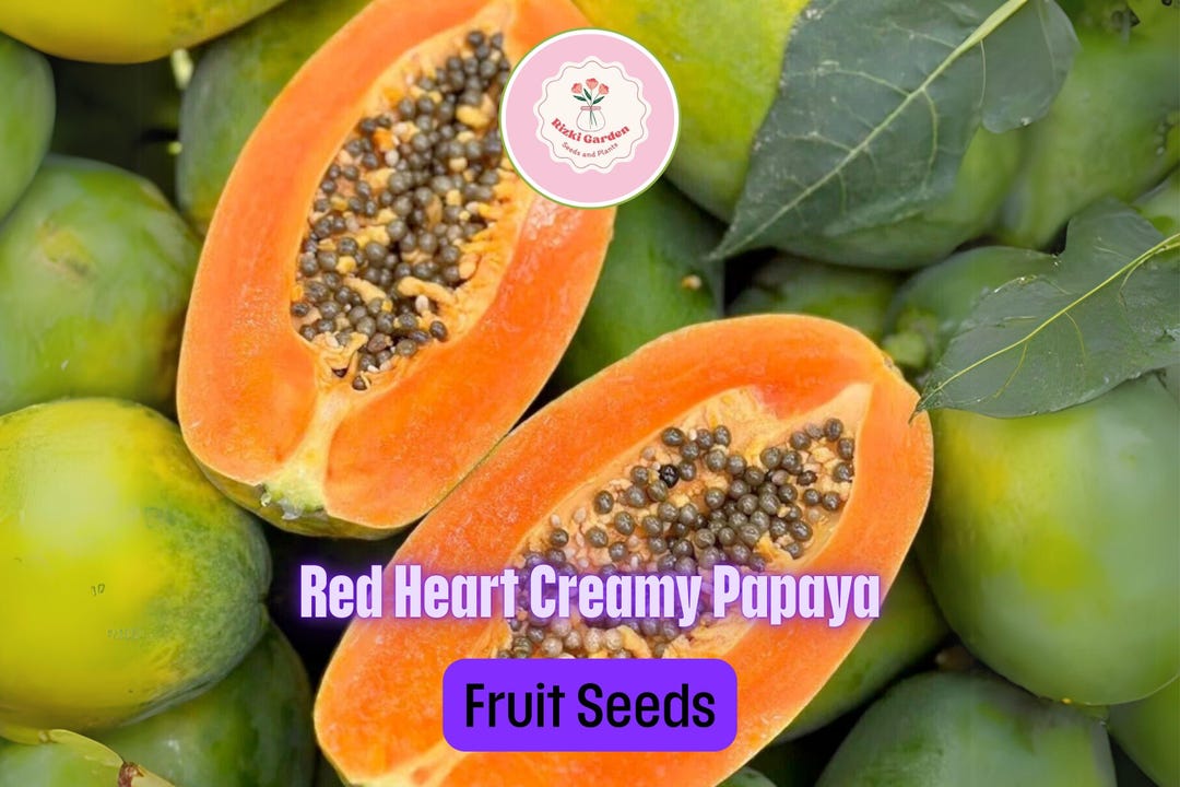50 Seeds Red Heart Creamy Papaya - Exotic Sweet Tropical Fruit - Fast ...