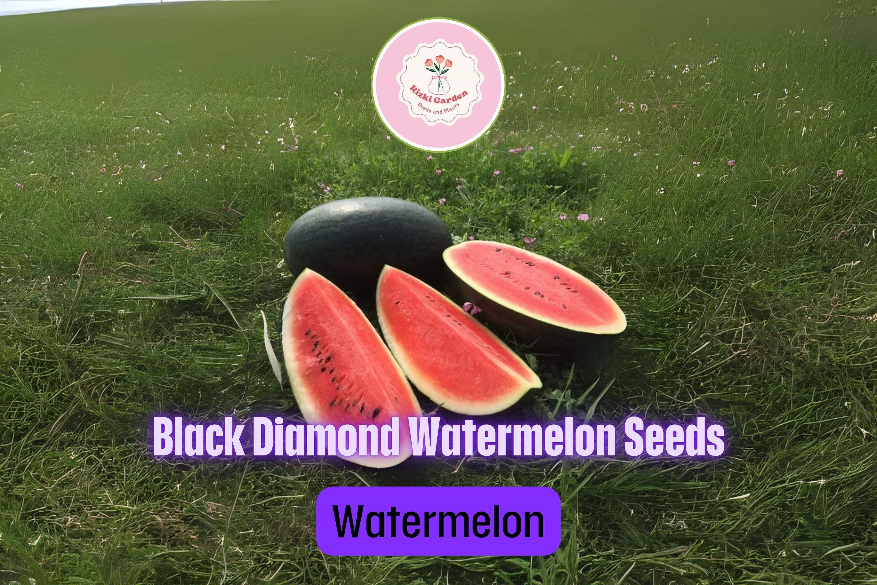 50 Black Diamond Watermelon Seeds | Classic Summer Fruit | Large Sweet ...