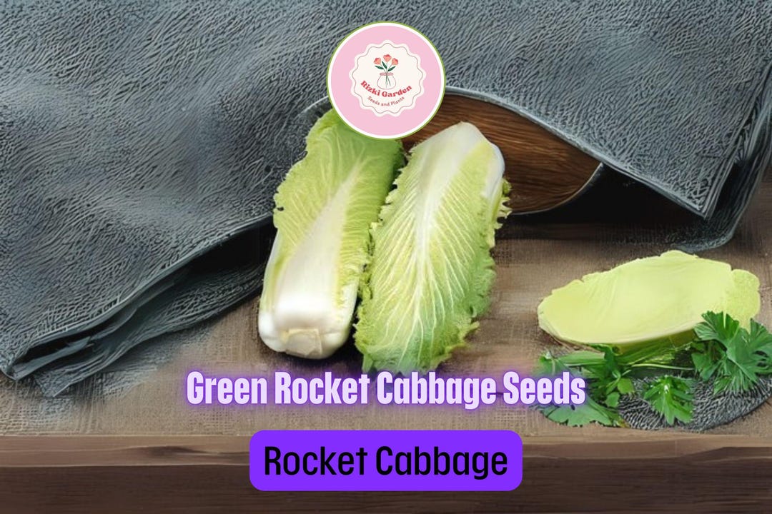 30 Green Rocket Cabbage Seeds | Fast-growing Chinese Cabbage | Crisp ...