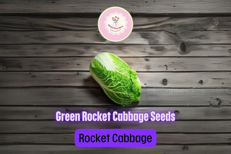 30 Green Rocket Cabbage Seeds | Fast-growing Chinese Cabbage | Crisp ...