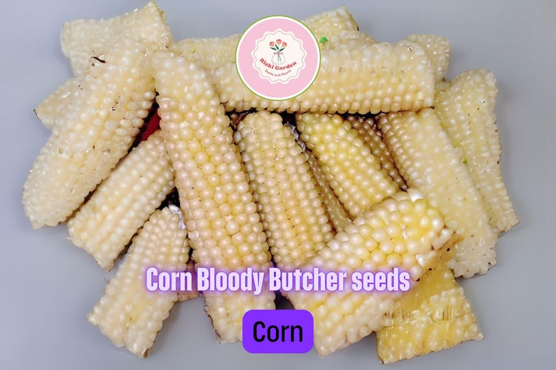 Japanese Hulless Popcorn Seeds (4x5g) – White Baby Corn Variety, Tender ...