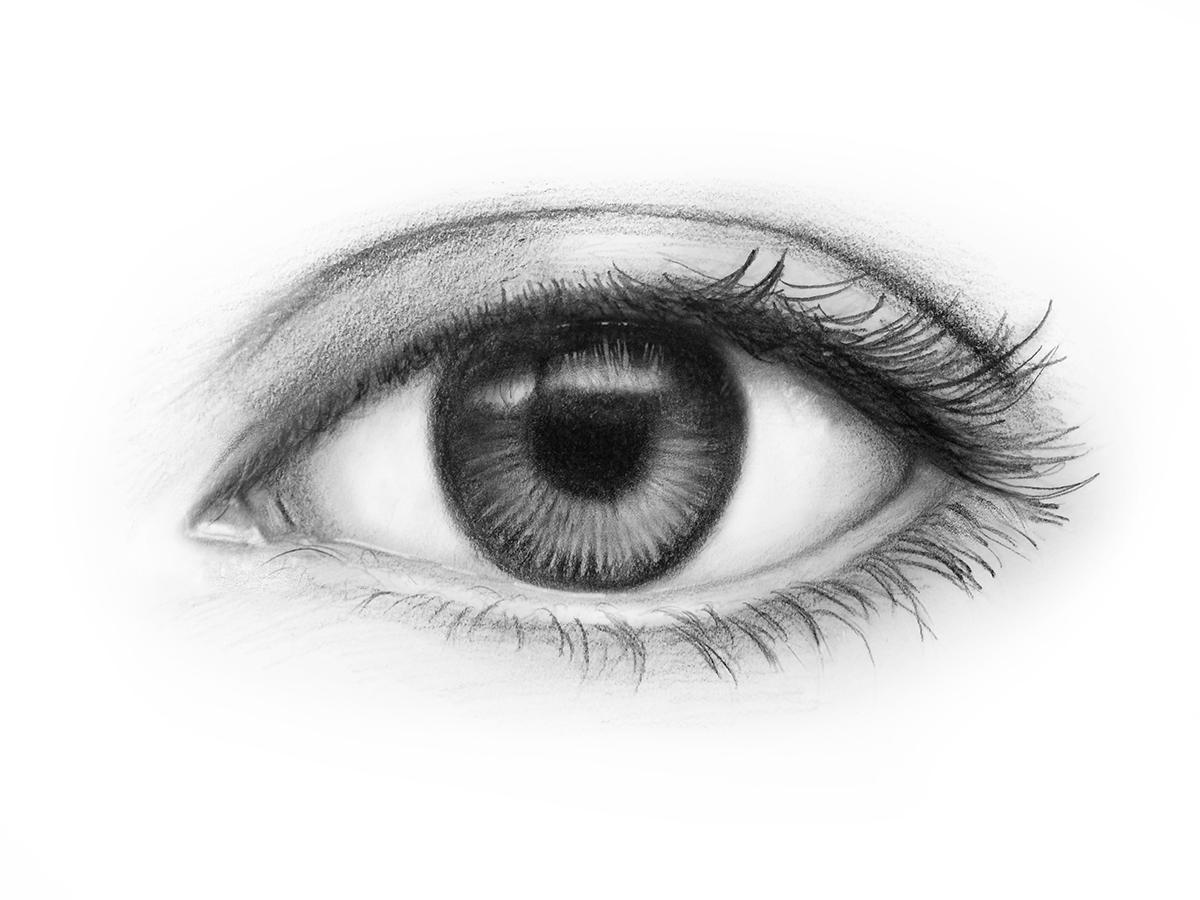 Drawing Dimension - Shading Techniques: A Shading Guide for Teachers and Students - Etsy